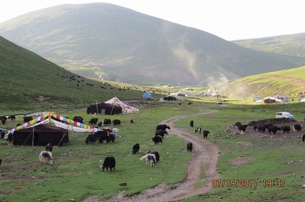 Tibet - Sustainable Practices in Yak Leather Sourcing - APLF Limited